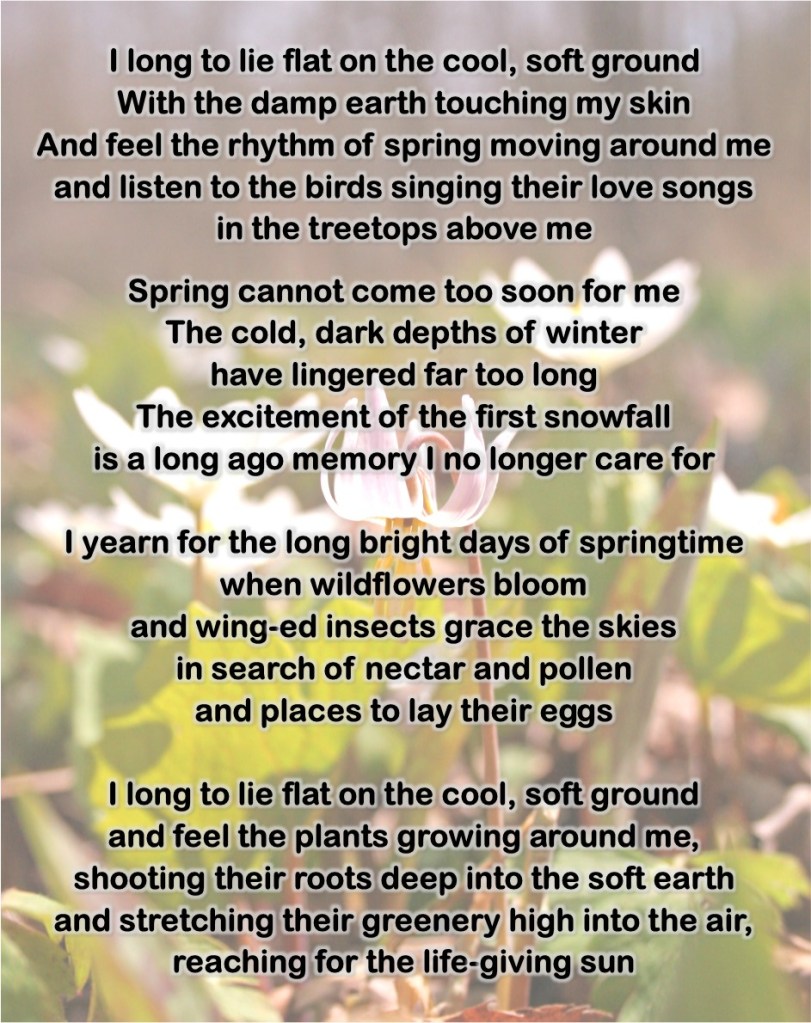 Longing For Spring – The Wildwood Glen